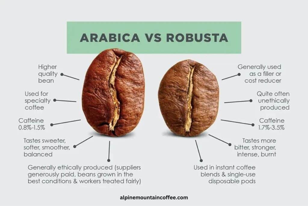 The Complete Guide to Different Types of Coffee - Alpine Mountain Coffee