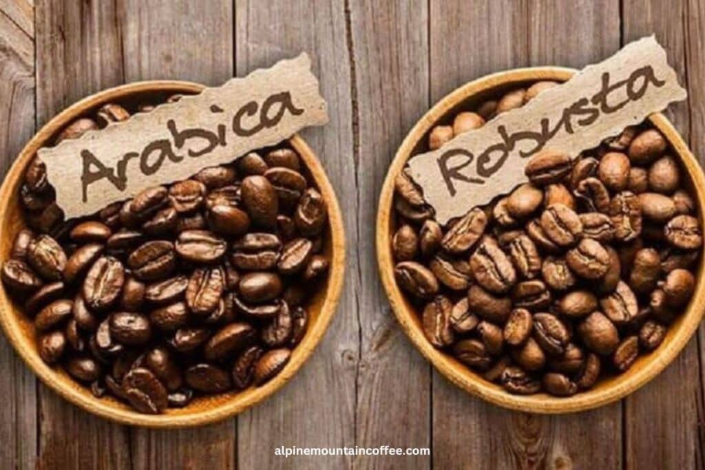 The Complete Guide to Different Types of Coffee - Alpine Mountain Coffee
