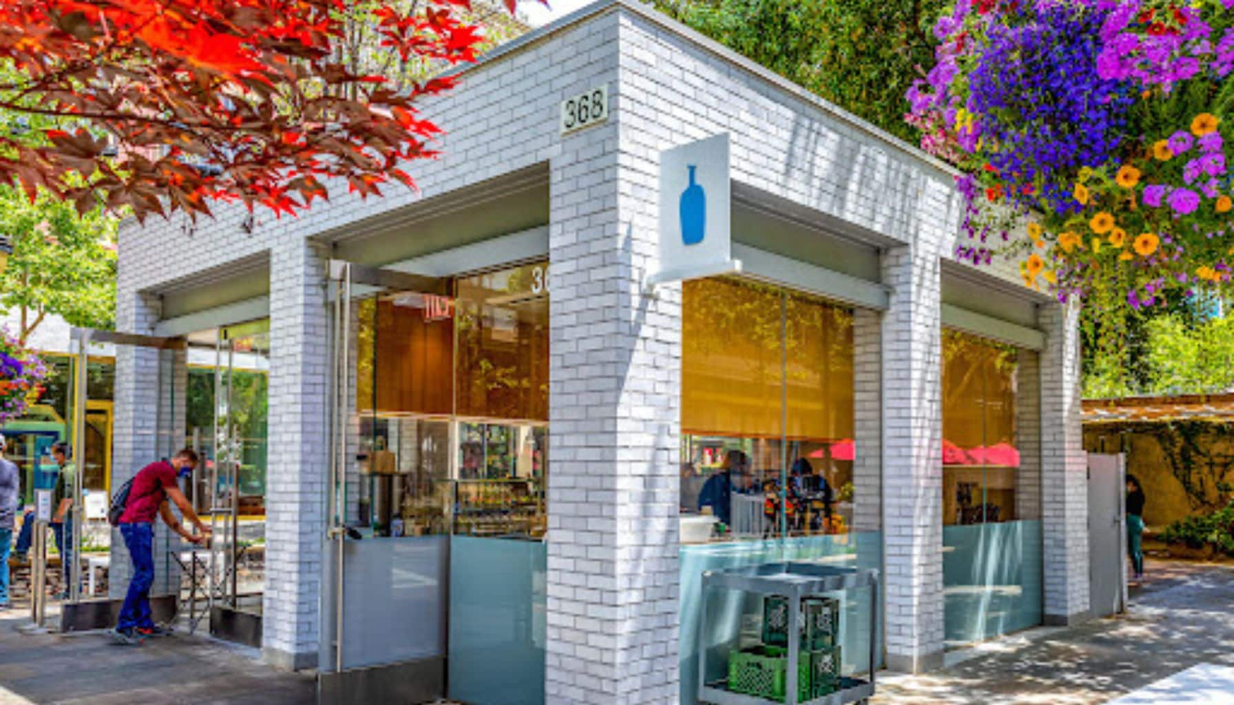 The Top 7 Coffee Shops in San Jose – Alpine Mountain Coffee