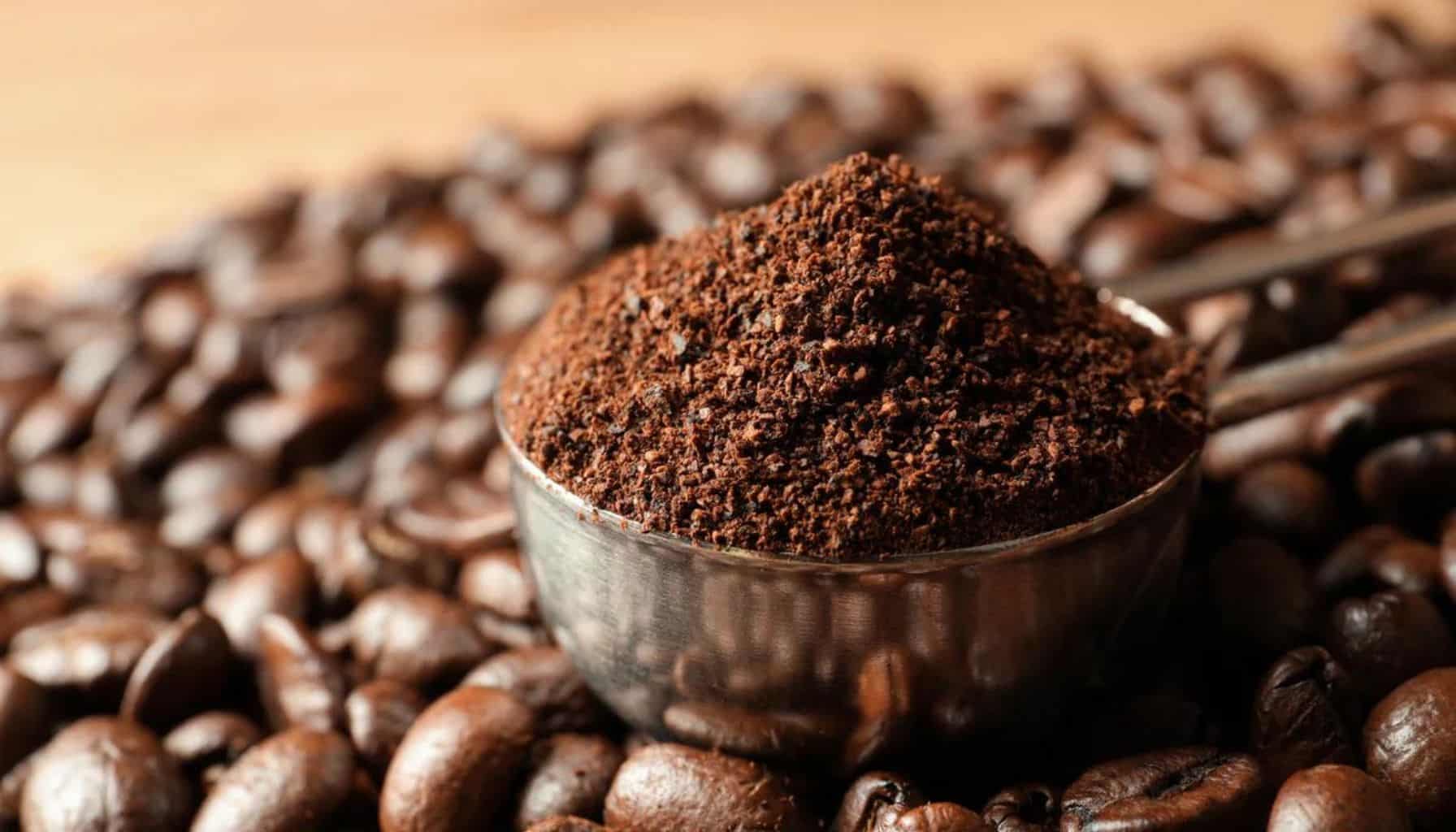 What is an Extra Dark Roast Coffee? - Alpine Mountain Coffee
