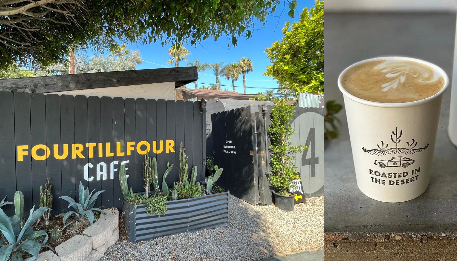 The Top 7 Coffee Shops in Scottsdale, Arizona 2024 - Alpine Mountain Coffee