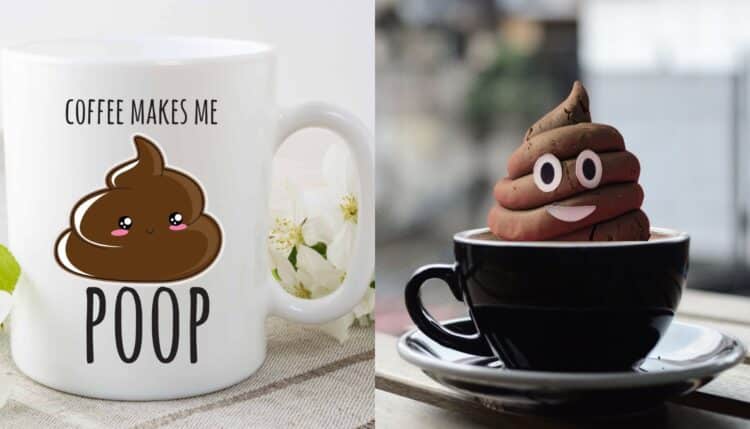 Does Coffee Make You Poop? – Alpine Mountain Coffee