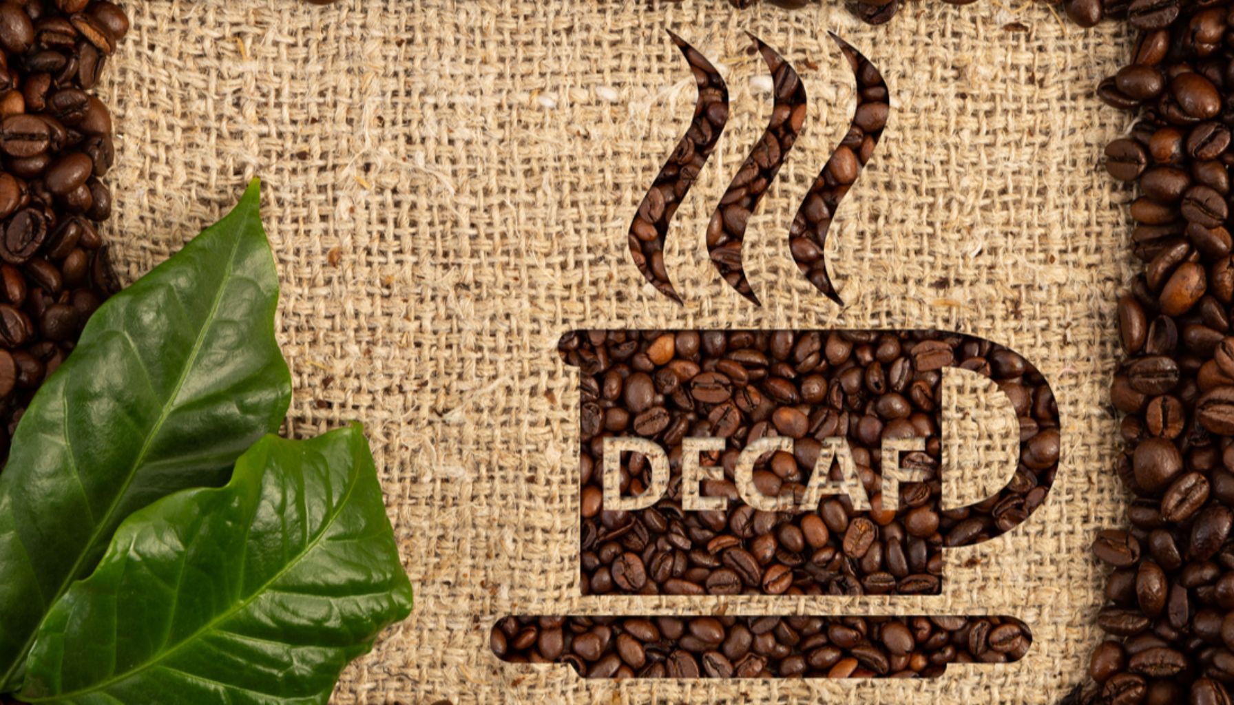 How is Decaf Coffee Made? – Alpine Mountain Coffee