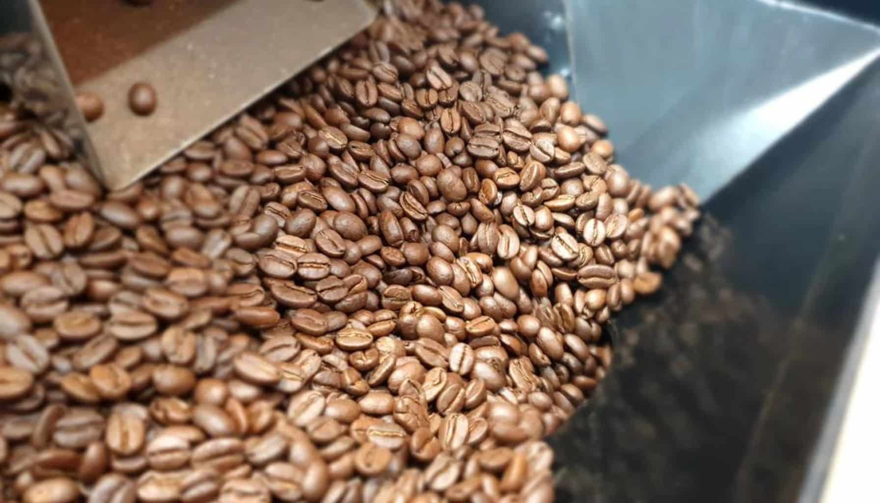 What is a Light Roast Coffee? - Alpine Mountain Coffee