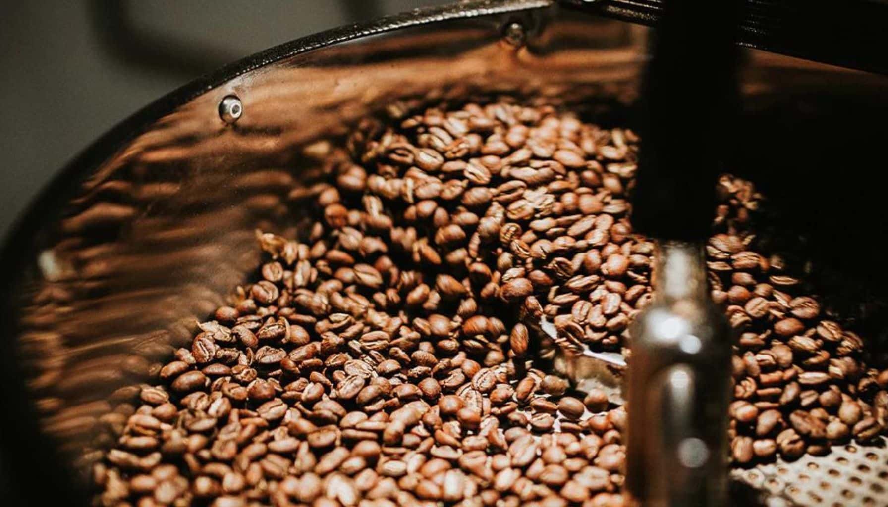 What is a Light Roast Coffee? - Alpine Mountain Coffee