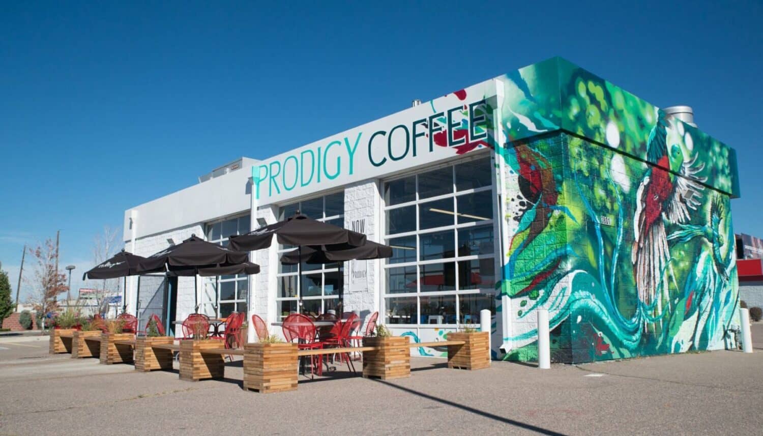 The 10 Best Coffee Shops in Denver, CO – Alpine Mountain Coffee