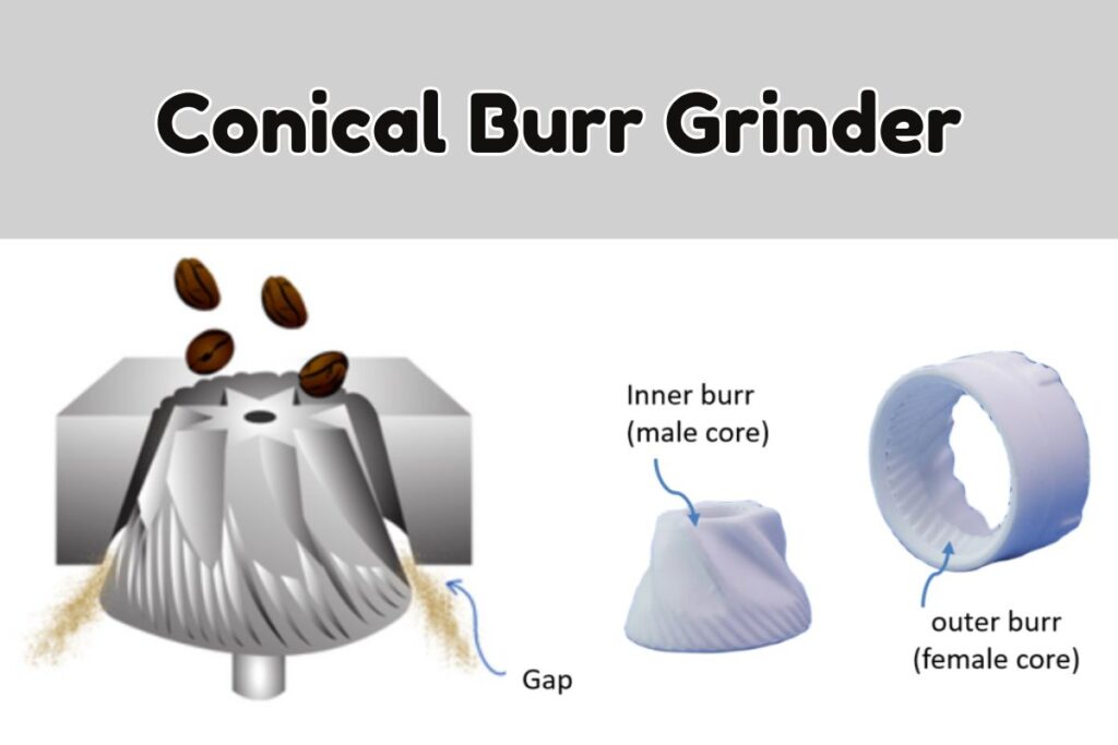 Conical vs Flat Burr Grinder: What’s the Difference and Which Should ...