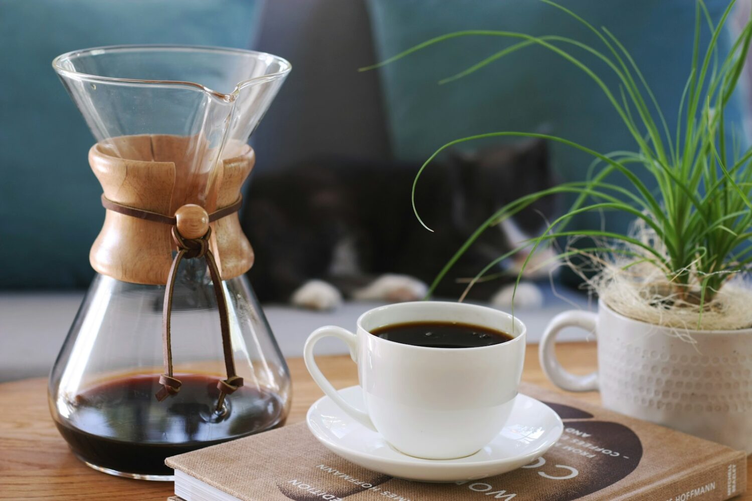 Coffee-to-Water Ratio Calculator – Alpine Mountain Coffee